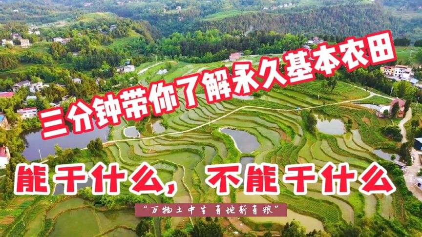 能干什么,不能干什么,三分钟带你了解永久基本农田