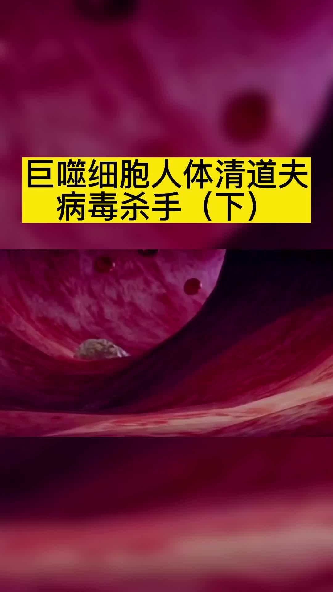 #drlps #dr.lps drlps绝不是智商税,巨噬细胞人体清道夫病毒杀手