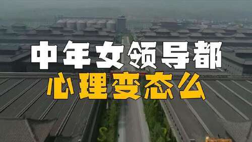 职场女性领导力揭秘:中年女领导的压力与突破