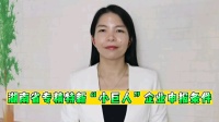 湖南省专精特新“小巨人”企业申报条件