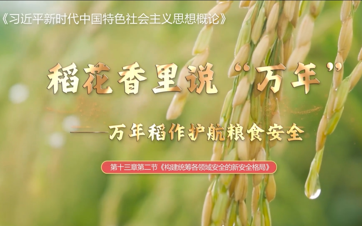 第八届全国高校大学生讲思政课公开课参赛作品:稻花香里说“万年”...