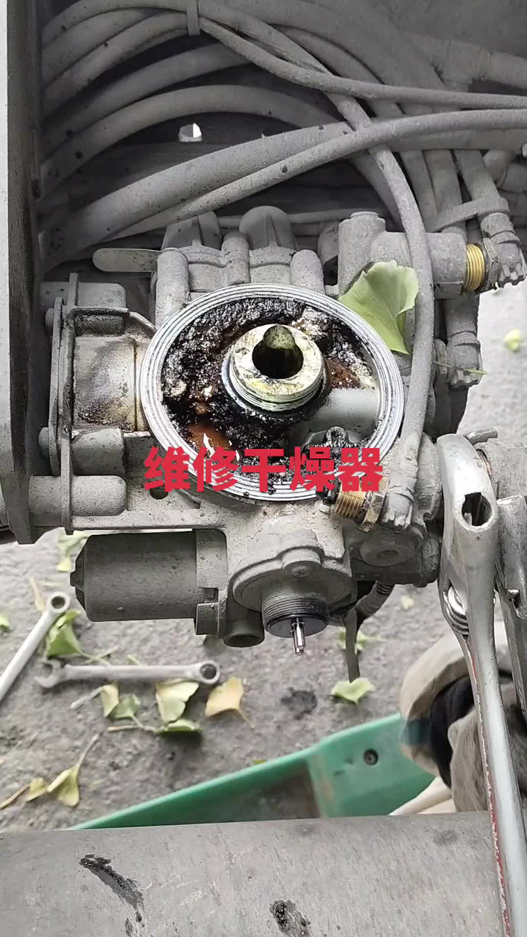 #每天跟我涨知识 #专业维修保养 #技术分享 #汽车保养与维修 #汽车...