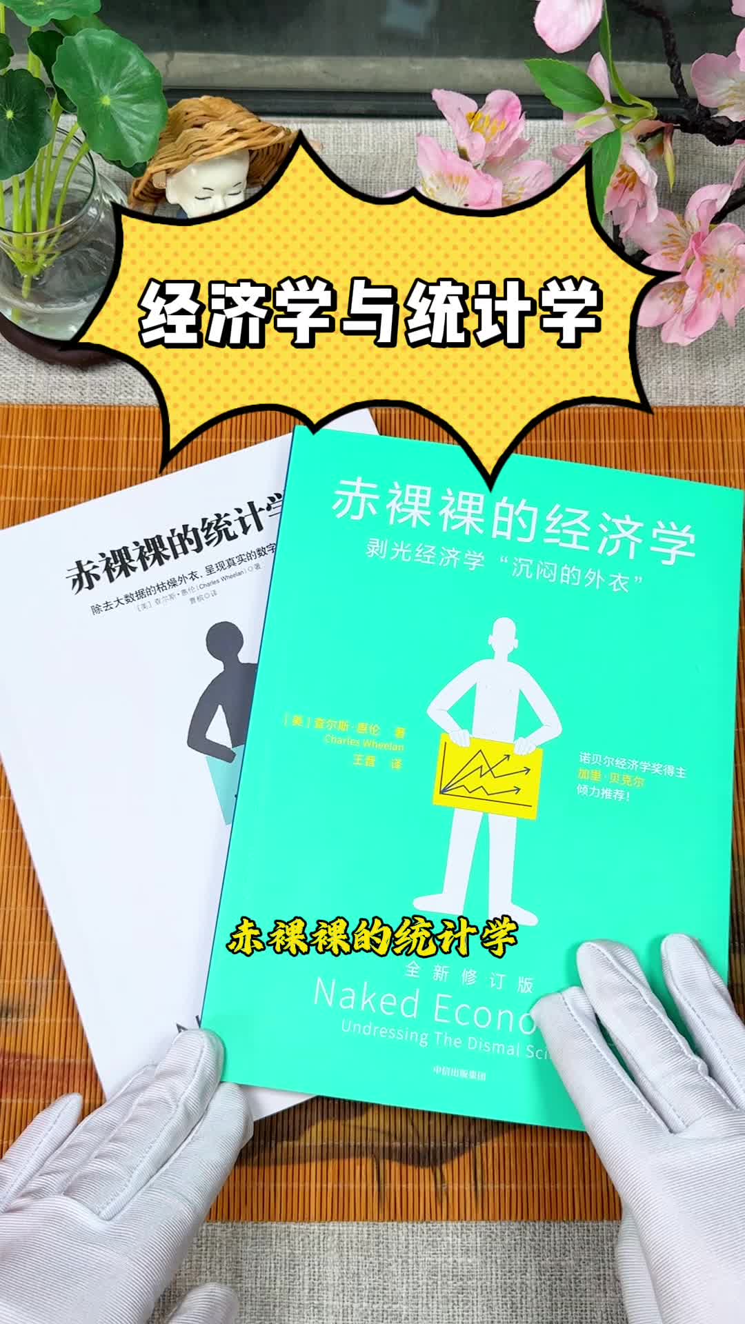 赤裸裸的经济学与统计学 #经济学 #统计学 #经济发展 #经济世界 #好书...