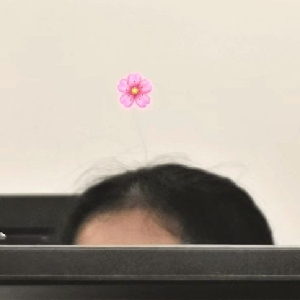 桃花作簪 