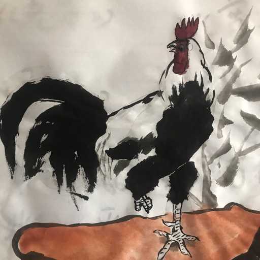 zr小侯 