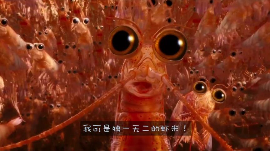 竟然长得一模一样?!