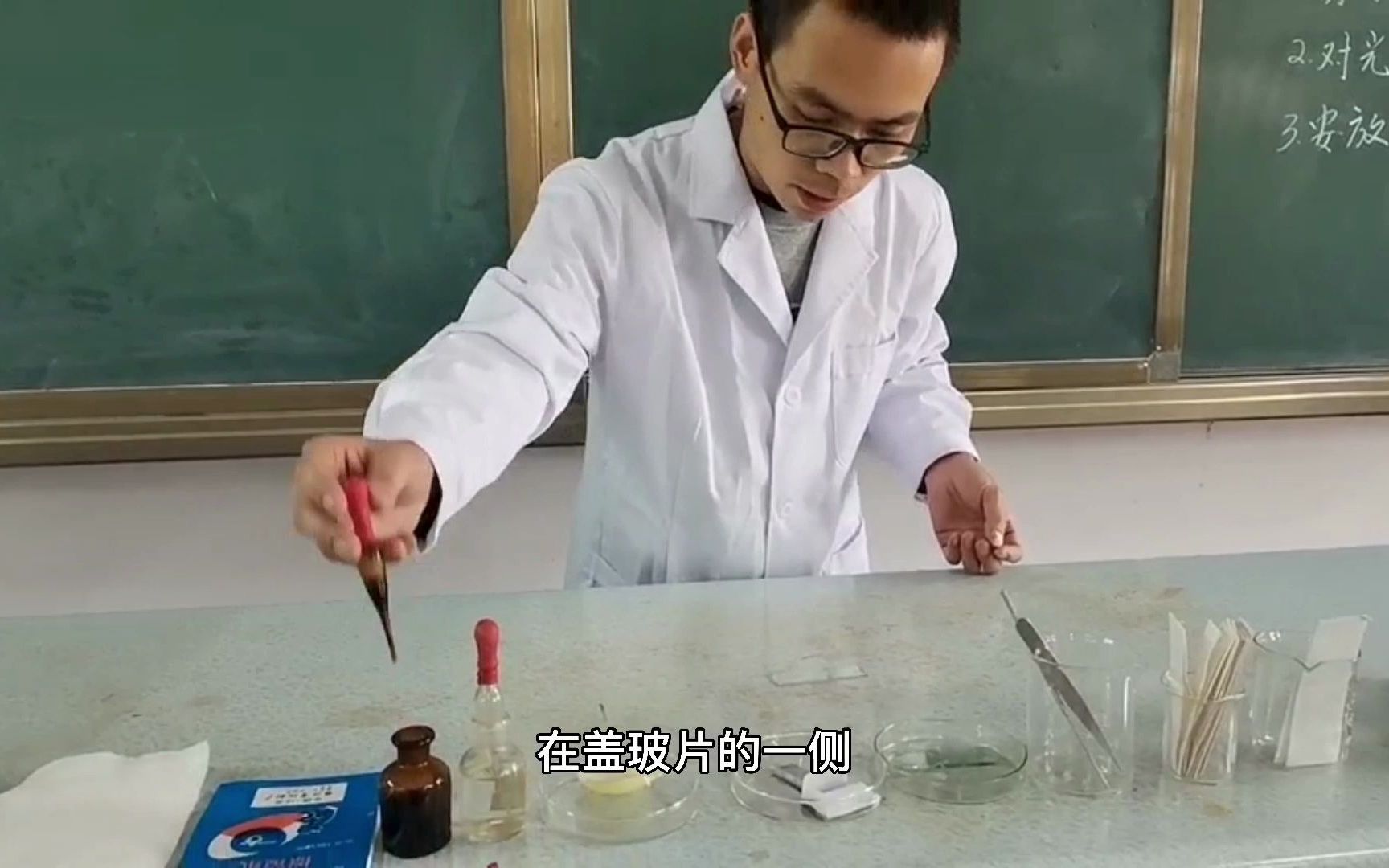实验:制作并观察洋葱鳞片叶内表皮细胞临时装片