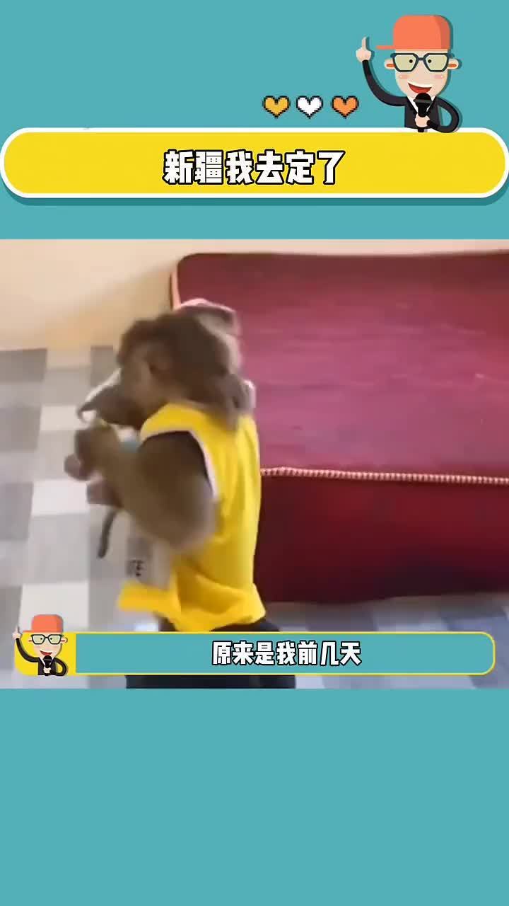 总要去看看电脑桌面的风景到底是什么样的吧,2024的第一波羊毛大家...