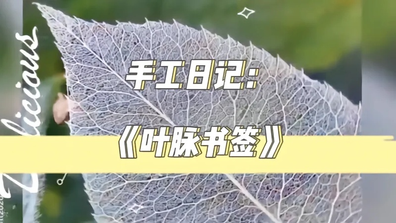 手工日记:《叶脉书签》树叶书签原创挂饰书签制作 DIY 原创