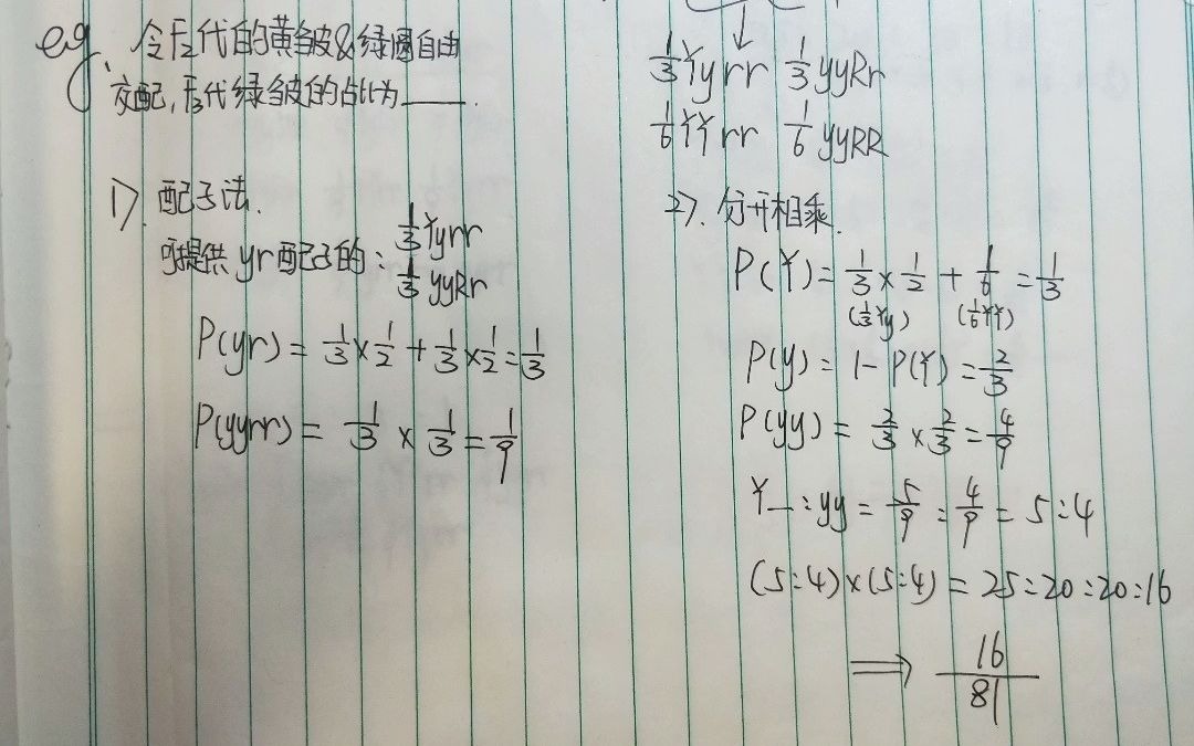 论自由组合定律“分开相乘”法做题的普适性