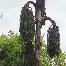 再见也许不再会 