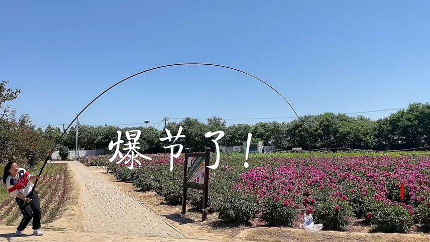 钓友要求发货前给8.1米锦虎做个测试,安排!实实在在不玩虚的。