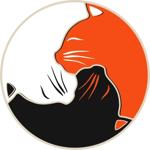 老猫爱搞机 
