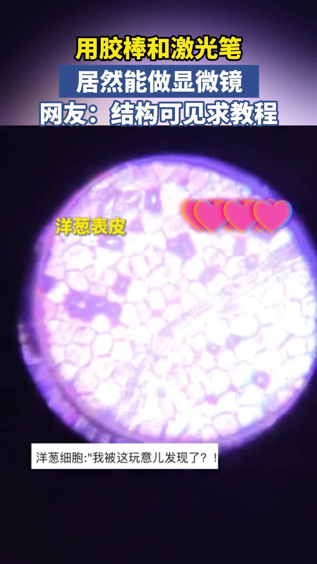用胶棒和激光笔 居然能做显微镜 网友:结构可见求教程