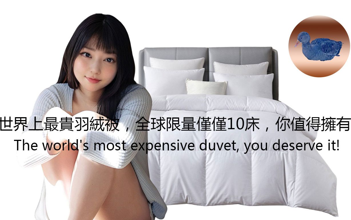 世界之最之全球限量十床的世界上最贵羽绒被,你值得拥有。