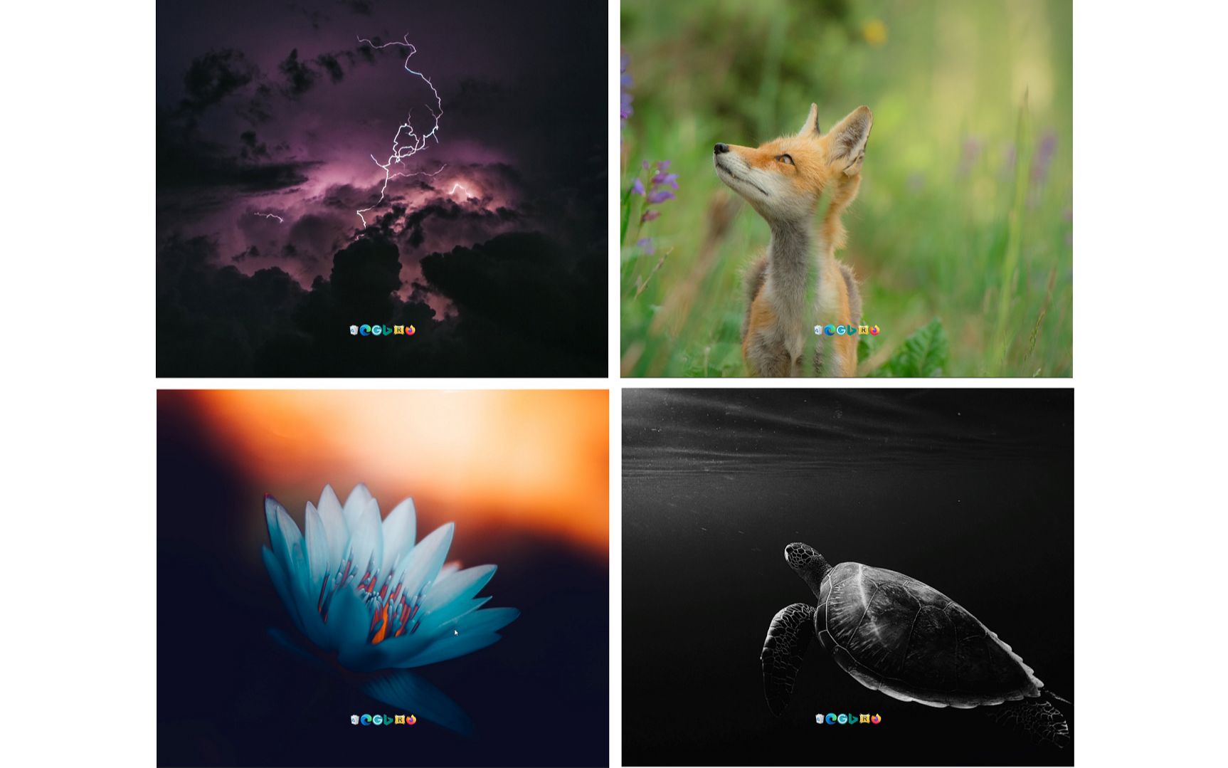 轻松配置Rocketdocker,让你的windows桌面漂亮和更加简便-第2集