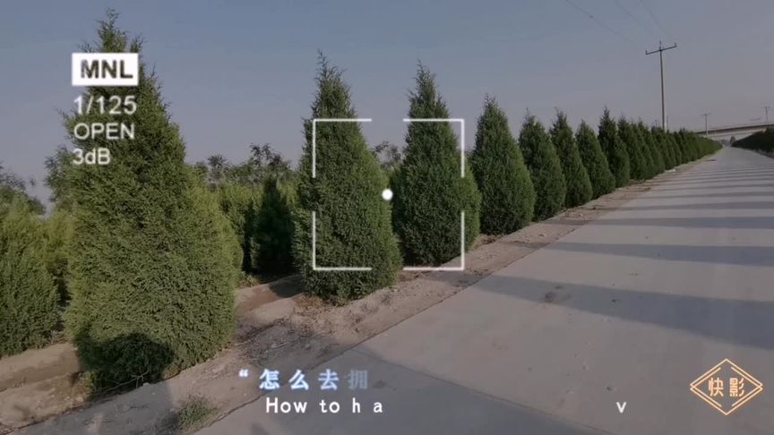 #景观园林苗木绿化 #硬核 #三农种植 #指尖上的江湖