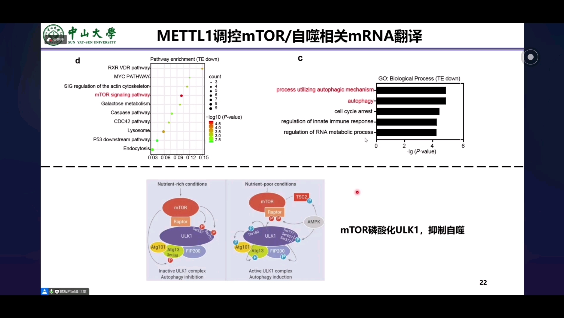 ...修饰介导的mRNA翻译调控在食管鳞癌恶性进展中的功能和机制研究
