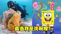 多年疑惑终于解开了，海绵宝宝有原型，是土生土长的海底动物