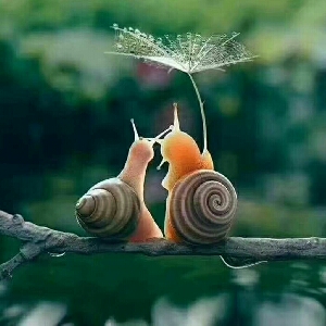 逻辑怪的生物好好 
