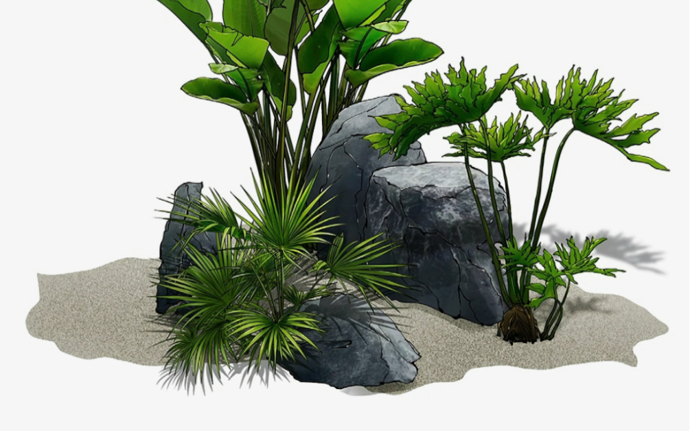 景观植物搭配小组合手绘画法,让你快速表现设计效果#园林景观#植物...
