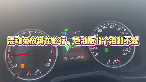 11个油顶不住了!荣放混动版成燃油替代新宠