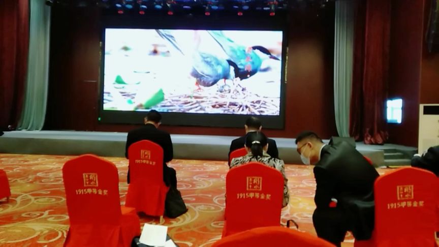 落实疫情防控,衡水人大会议以视频会议形式召开。我列席会议。