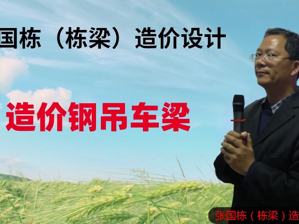 张国栋(栋梁)造价设计:造价钢吊车梁