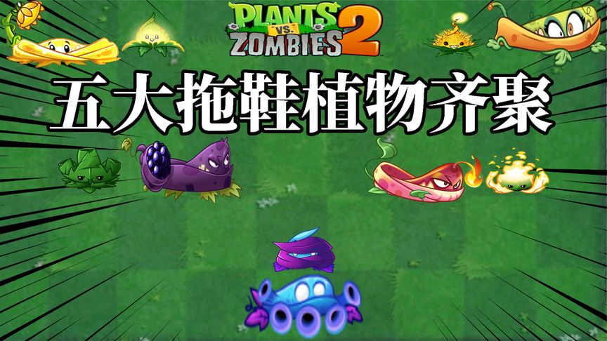 植物大战僵尸 盘点五大叠种类藤蔓