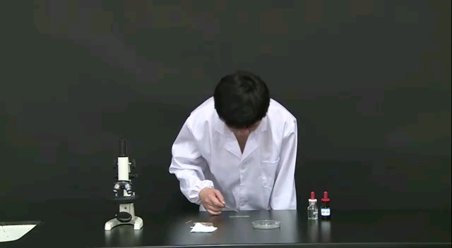 制作人体口腔上皮细胞的装片