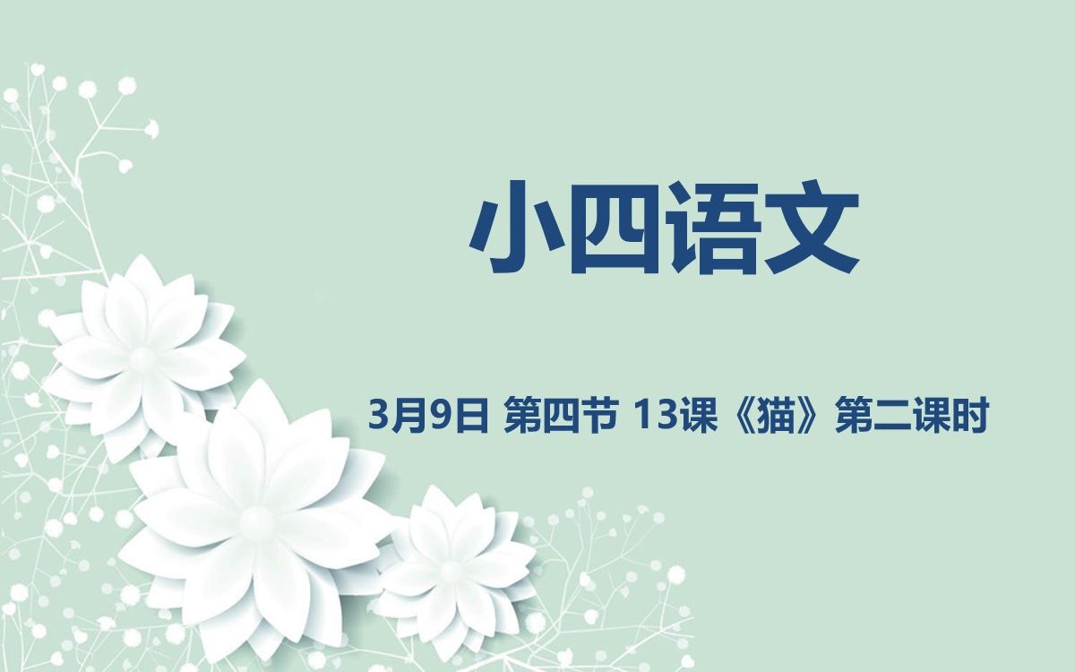 小四语文03-09 第四节 13课《猫》第二课时
