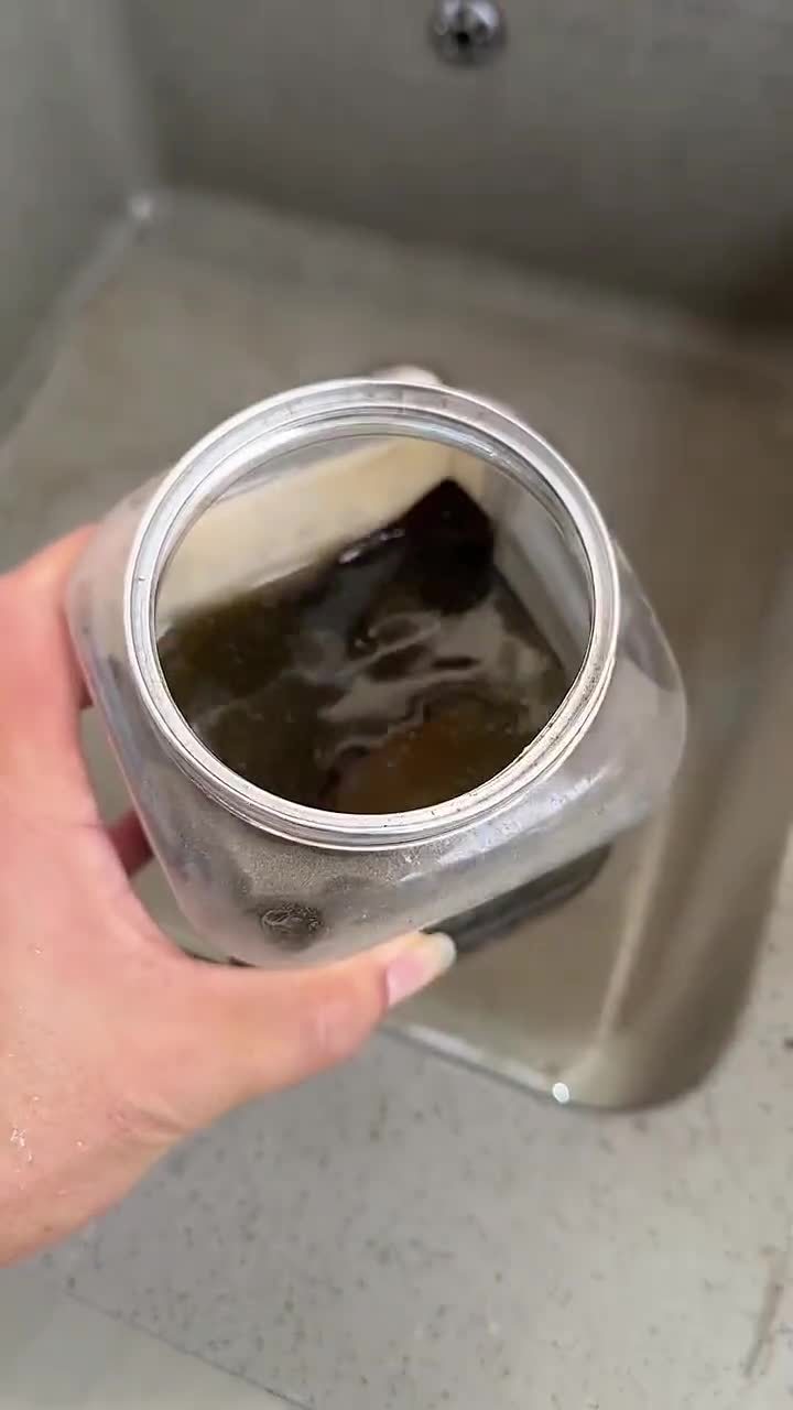花一年时间做的叶脉书签,还有谁比我更用心