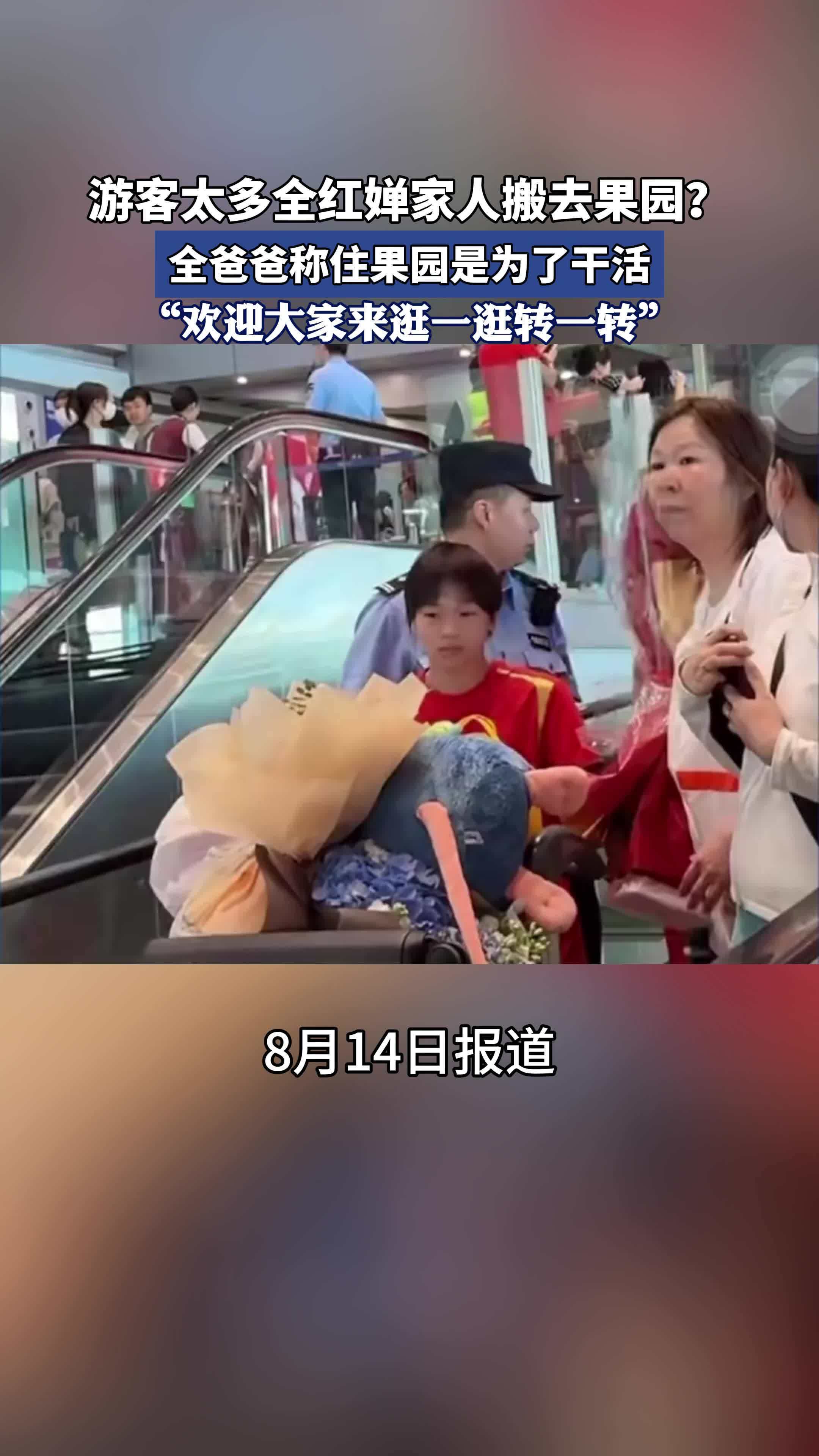 游客太多全红婵家人搬去果园?全爸爸称住果园是为了干活