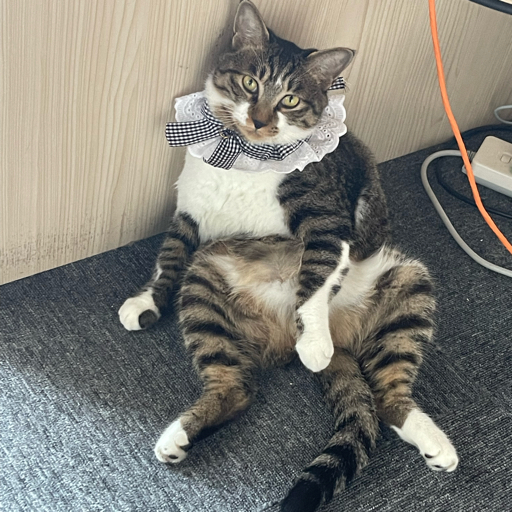 考新wen你牛波一 