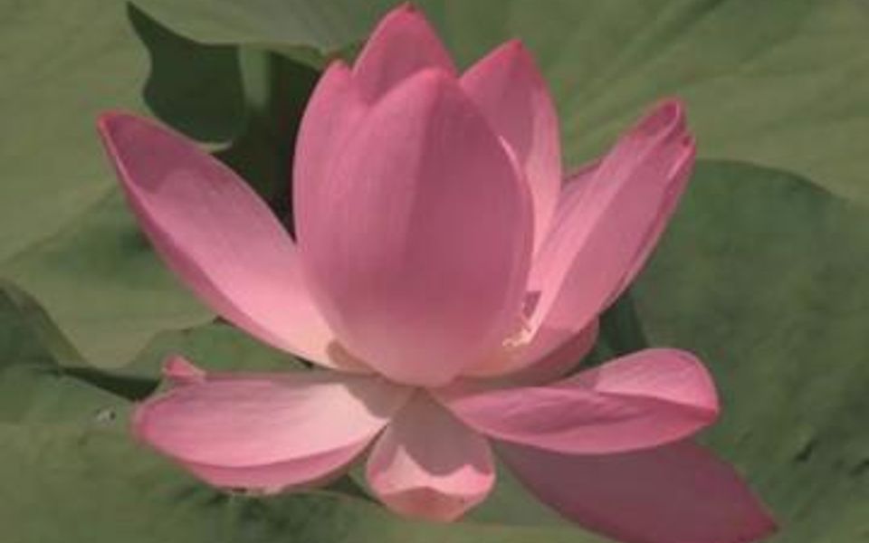 如何用电脑在发布高清视频