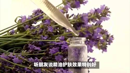 玫瑰精油不止护肤!这5大隐藏功效和禁忌,用错反伤身