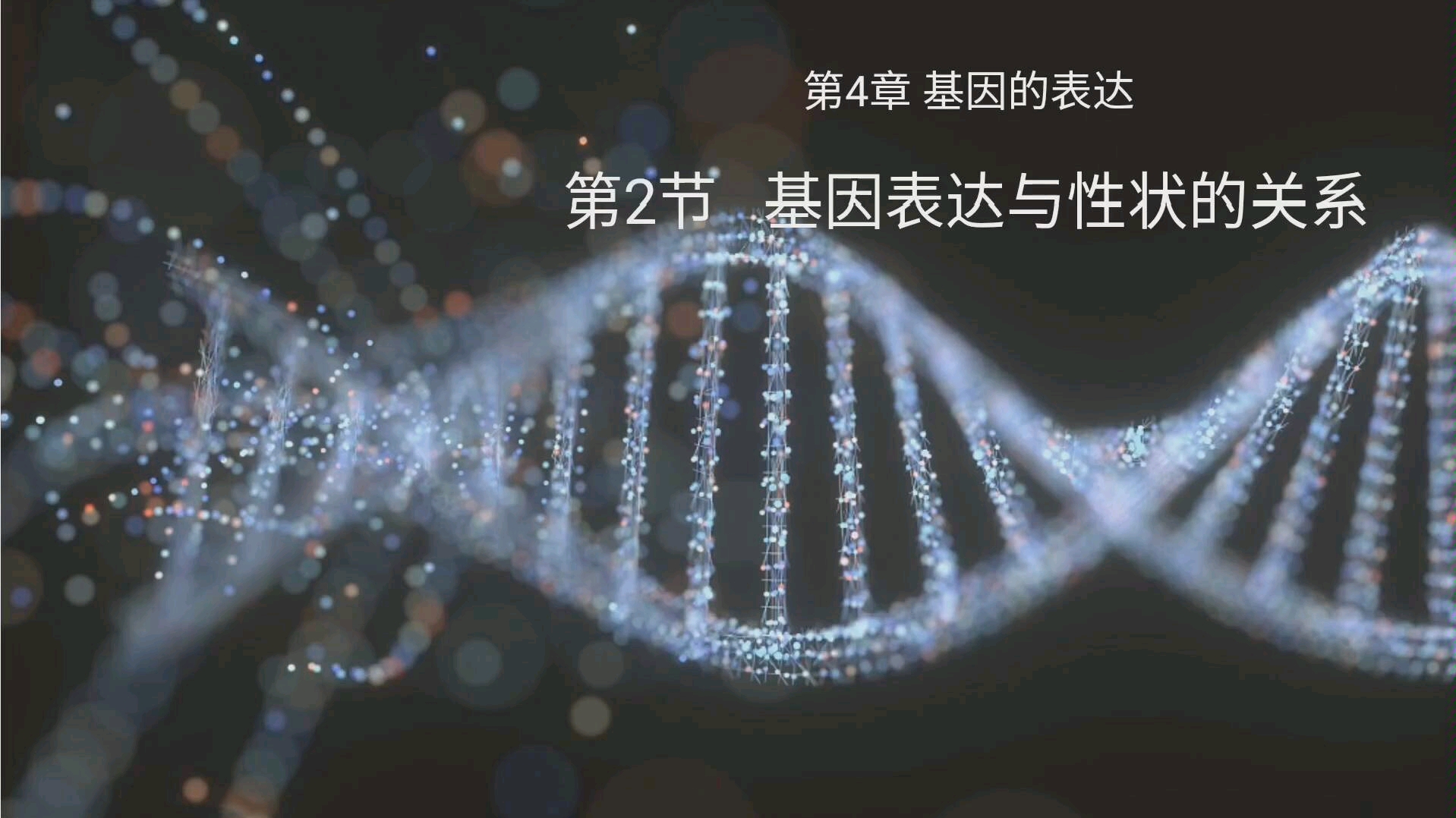 高中生物必修2第四章第2节《基因表达与性状的关系》
