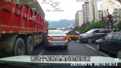 牛都撞飞了!交通事故分析详解