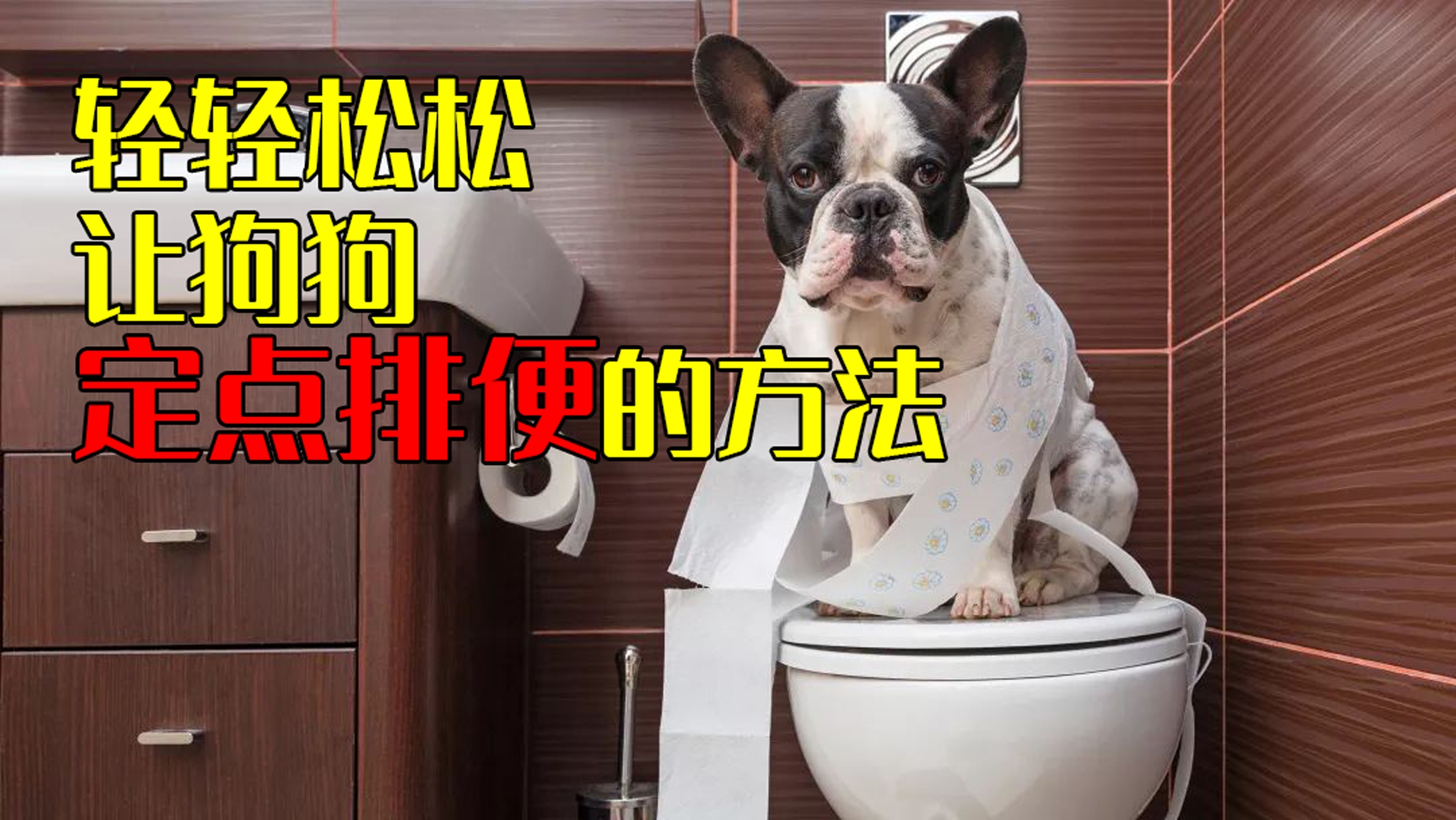 轻轻松松让狗狗定点排便的方法