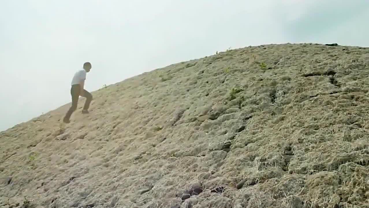 为什么画国画要用宣纸?材料给出了答案#宣纸 #中国文房四宝 #纪录片 .