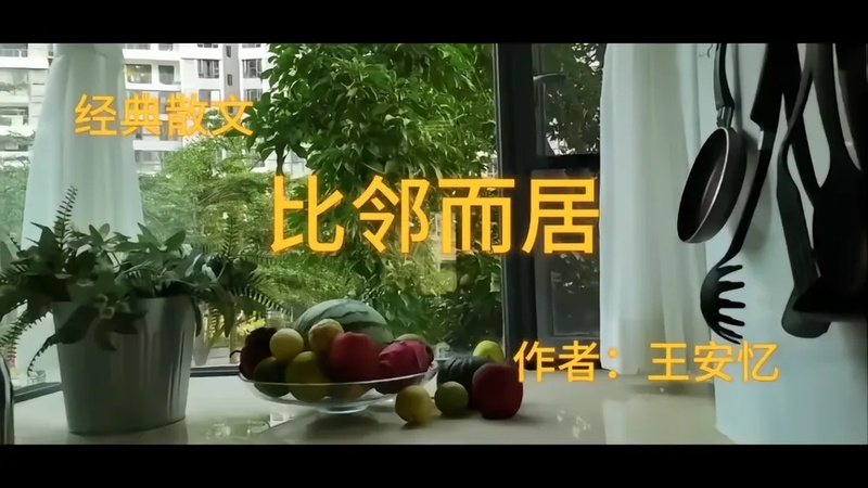 公共排烟道,油烟在厨房大聚会,《比邻而居》作者:王安忆