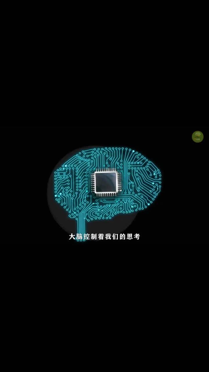 大脑高级功能和分级调节 #生物 #小知识 #神经系统