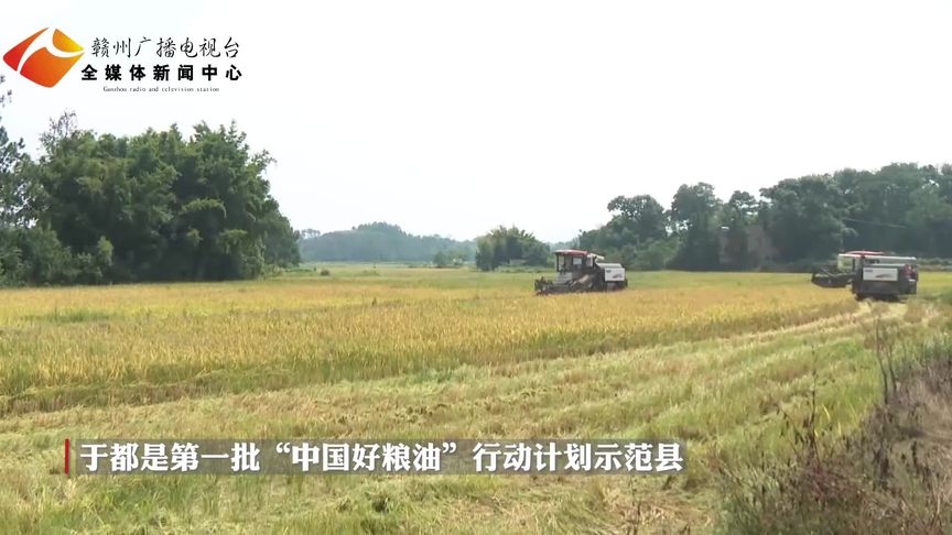 #粮仓 #江西赣州 带你探秘“赣南粮仓”!