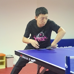 征尘体育 