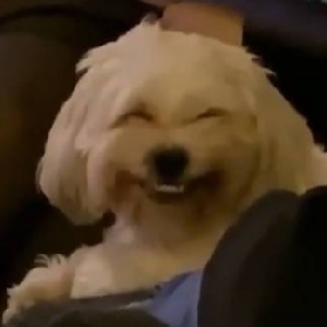 认识君宝卡脸吗 