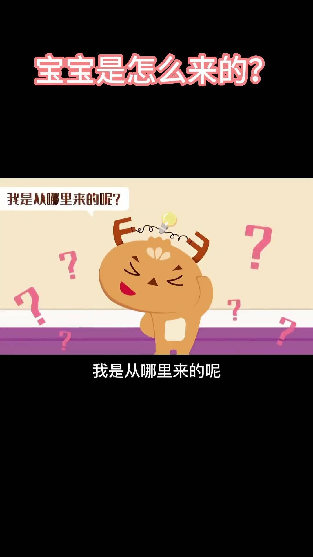 宝宝是怎么来的?