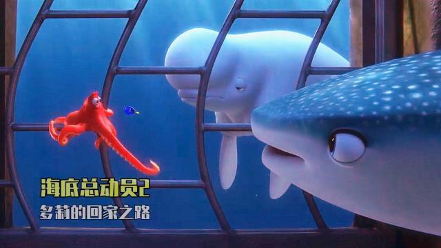 几分钟看完动画冒险电影《海底总动员