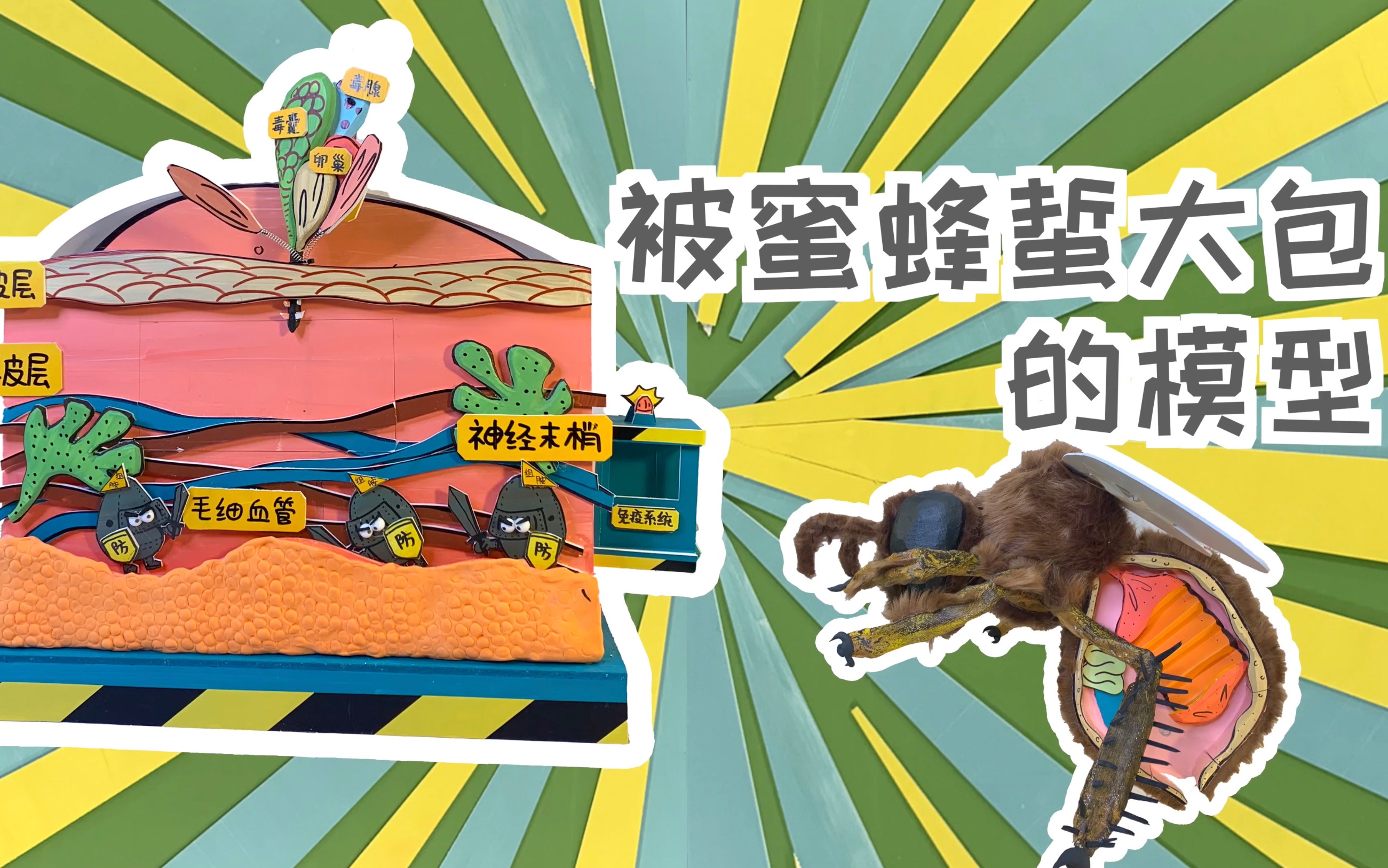 【模型师老原儿】模型解析蜜蜂蜇人全过程～了解被蜜蜂蜇起大包该...