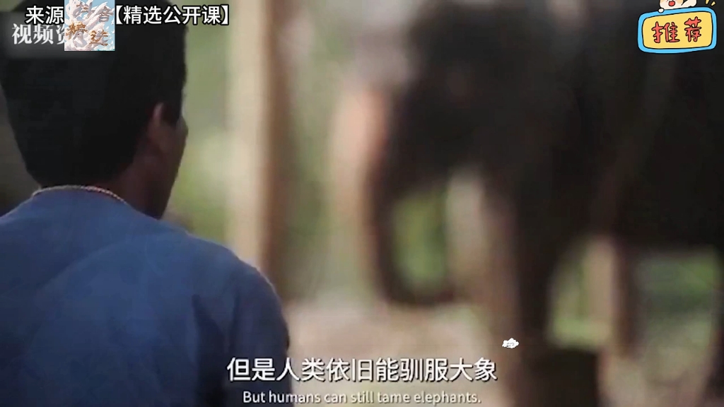 一口气看懂畜牧业的发展:环境与人类健康