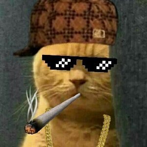 暗中观察协会主任 